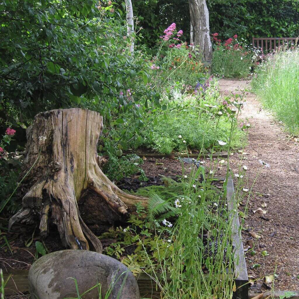 Hampton Hill Junior School - Gelling Landscape Studio